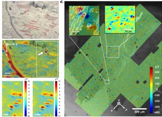 EuQlid社製 量子ダイヤモンド顕微鏡（QDM） （製品詳細）｜ 日本カンタム・デザイン株式会社