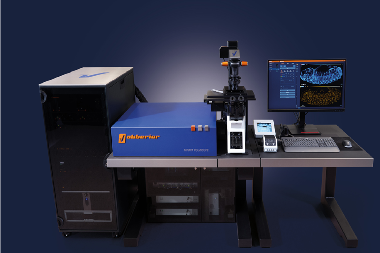 新しい超解像顕微鏡スタンダード MIRAVA POLYSCOPE （製品詳細）｜ 日本カンタム・デザイン株式会社